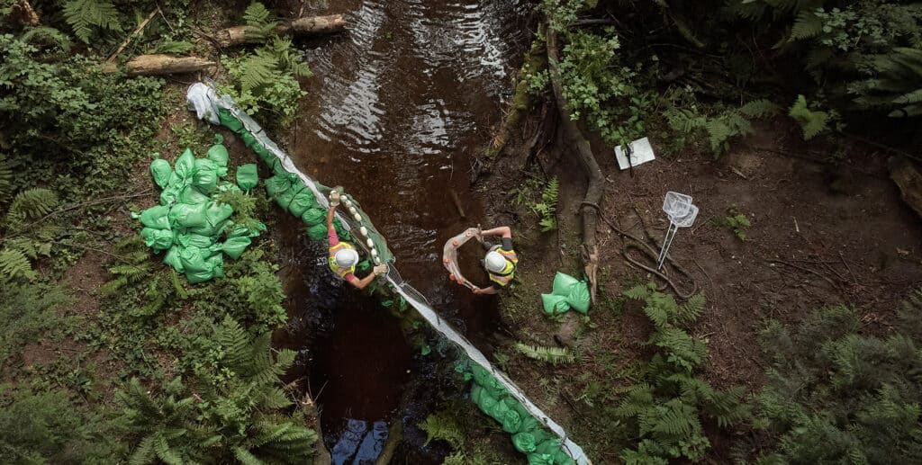 Parametrix Refreshes Brand as Growth Continues » JayRay