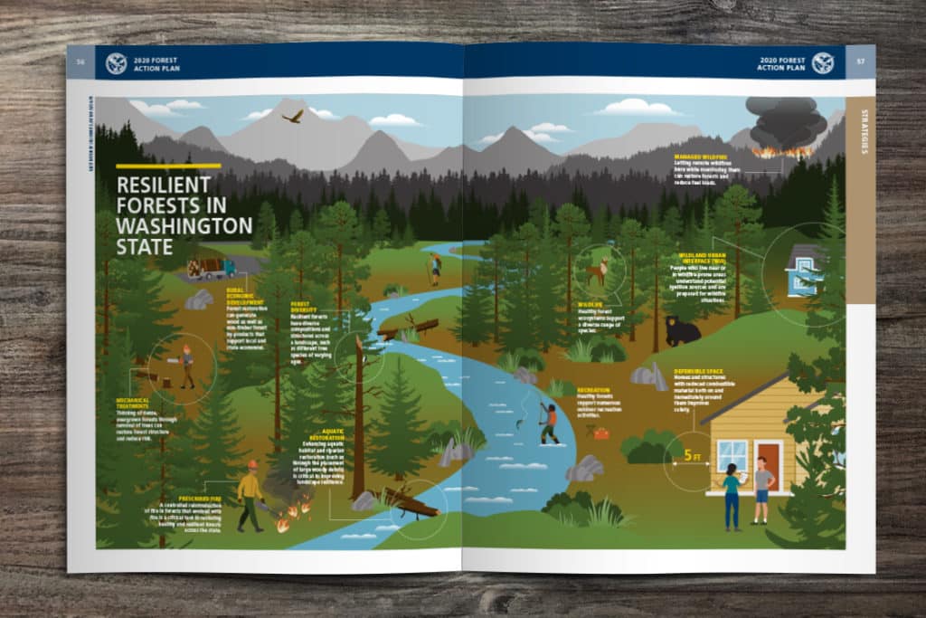 JayRay Illustrates Forest Resiliency » JayRay